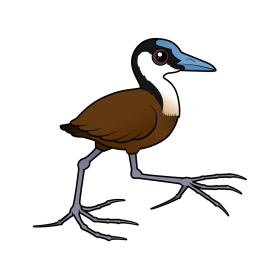 Cute Cartoon African Jacana