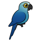 Meet the Endangered Spix's Macaw by Birdorable | Meet the Birds