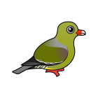 Meet the Cute African Green Pigeon by Birdorable