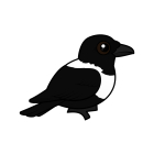 Meet the Intelligent African Pied Crow | Birdorable Birds