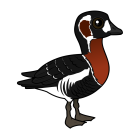Birdorable's Red-breasted Goose | Striking Old World Waterfowl