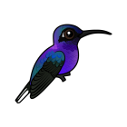 Meet the Stunning Violet Sabrewing Hummingbird | Birdorable