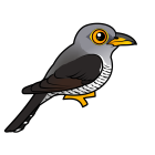 Meet the Famous Common Cuckoo | Birdorable Birds