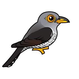 Meet the Famous Common Cuckoo | Birdorable Birds