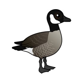Cute Canada Goose by Birdorable