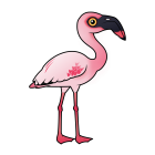 Lesser Flamingo - Pink Beauty of Saline Lakes | Birdorable Birds