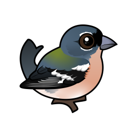 Birdorable's African Chaffinch: Cute Cartoon Bird & Facts