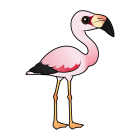 Meet the Rare Andean Flamingo | Birdorable Birds
