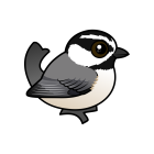 Meet the Cute Mountain Chickadee by Birdorable Birds