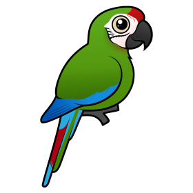 Meet the Colorful and Endearing Military Macaw | Birdorable Birds