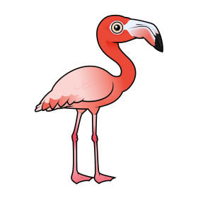 Meet the Vibrant American Flamingo by Birdorable | Meet the Birds