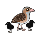 Cute Corn Crake by Birdorable