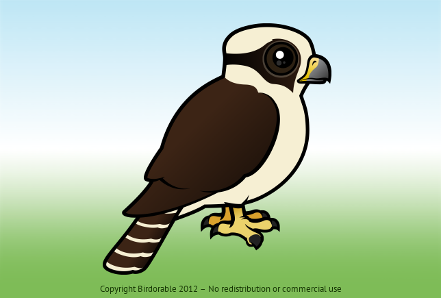 Cute Laughing Falcon by Birdorable