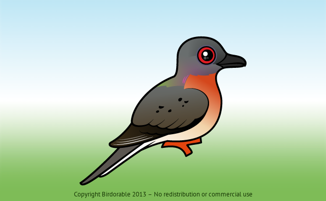 Cute Passenger Pigeon by Birdorable