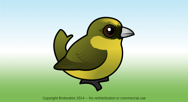 Meet the Cute Akekee by Birdorable, a Hawaiian finch
