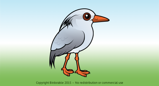 Cute Cartoon Kagu Bird From Birdorable: Meet the Birds