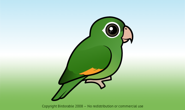 Meet the Cute Golden-winged Parakeet by Birdorable