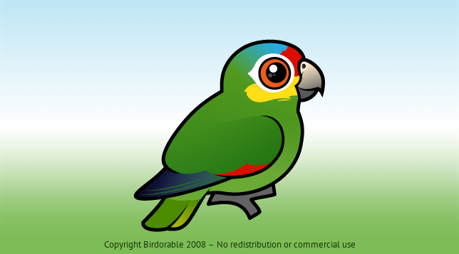 Cute Red-lored Parrot by Birdorable