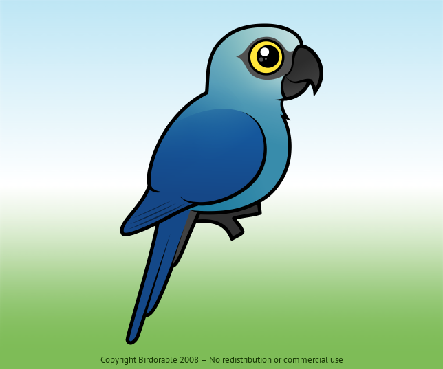 Meet the Endangered Spix's Macaw by Birdorable | Meet the Birds