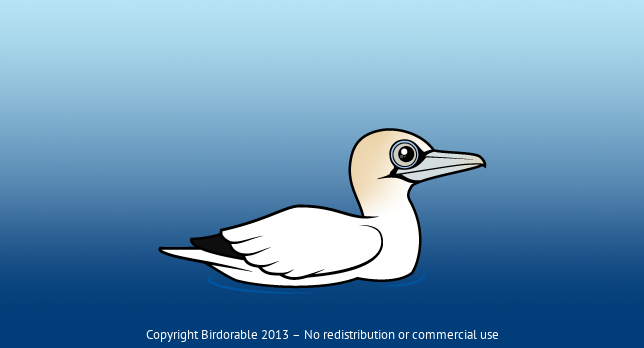 Cute Northern Gannet by Birdorable