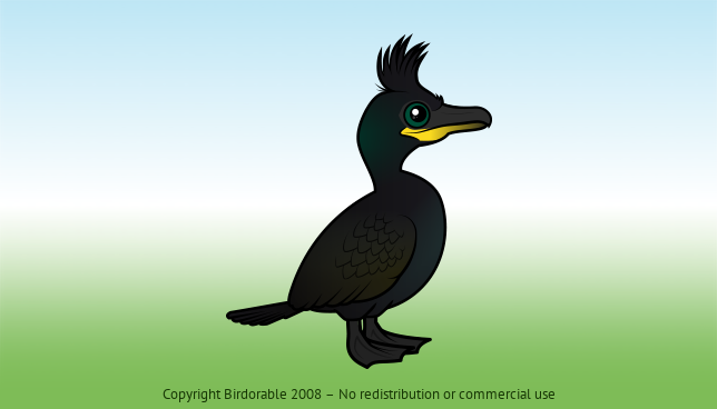 Cute European Shag by Birdorable