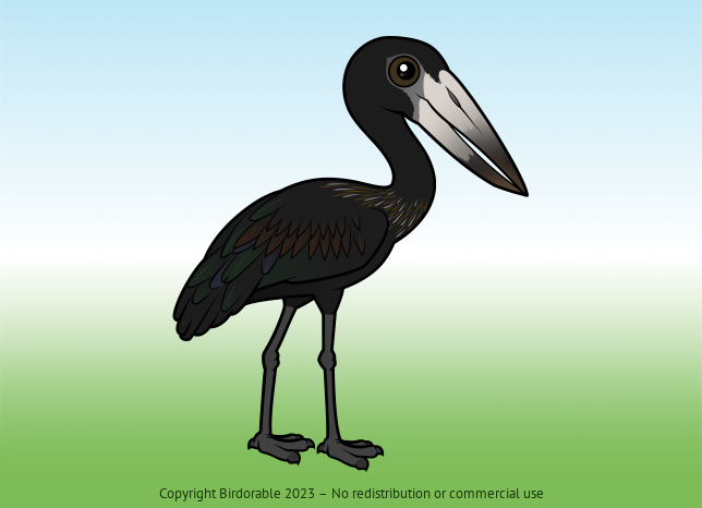 The Birdorable African Openbill Stork | Cute Cartoon Bird