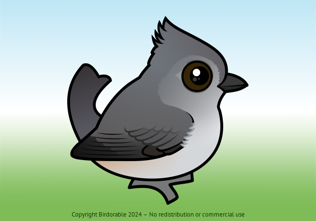 Oak Titmouse - The Crest of the Oaks | Birdorable Birds