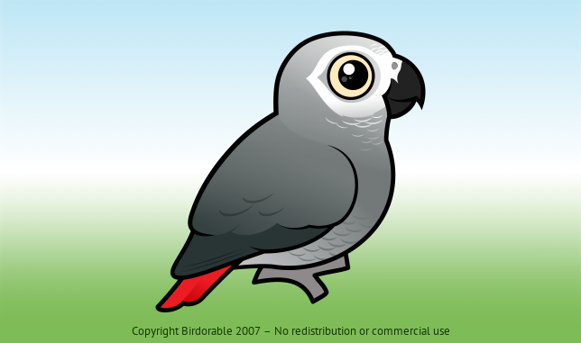 Cute Gray Parrot by Birdorable