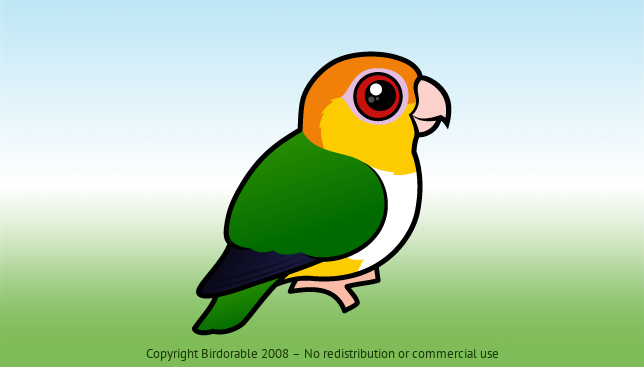 Meet the Cute White-bellied Parrot by Birdorable