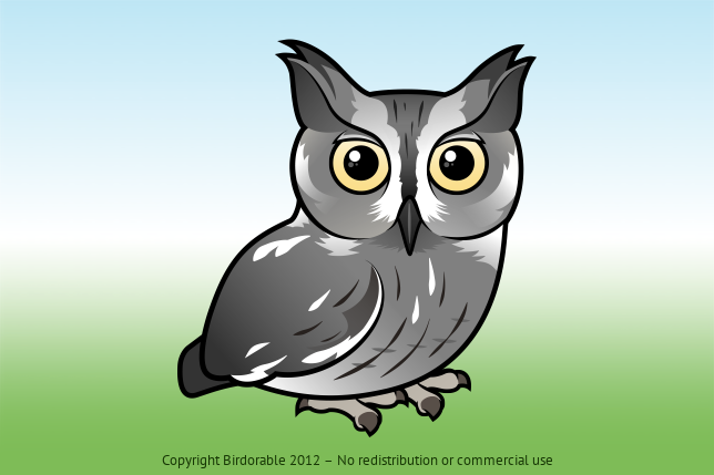 Cute Western Screech Owl by Birdorable
