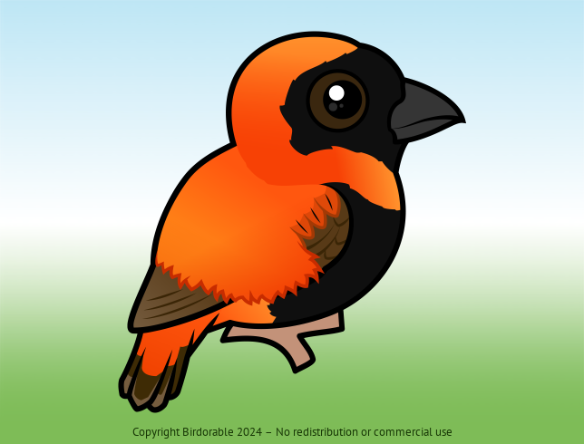 Meet the Dazzling Southern Red Bishop by Birdorable
