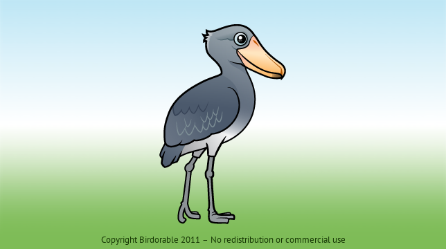 Cute Shoebill by Birdorable