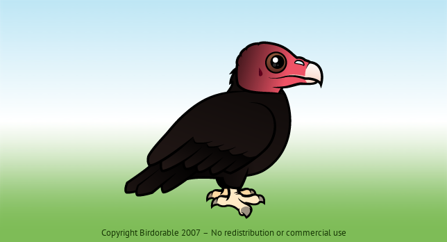 Cute Turkey Vulture by Birdorable