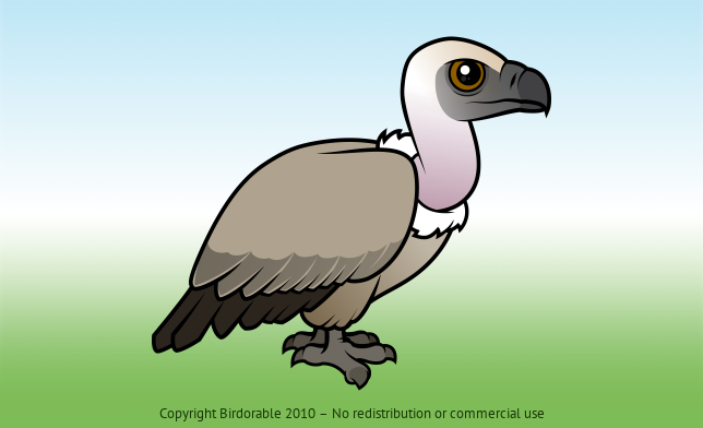 Learn About the Endangered Cape Vulture of Africa | Birdorable