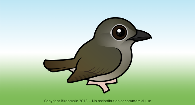 Birdorable Hawaiian Puaiohi AKA Small Kauai Thrush