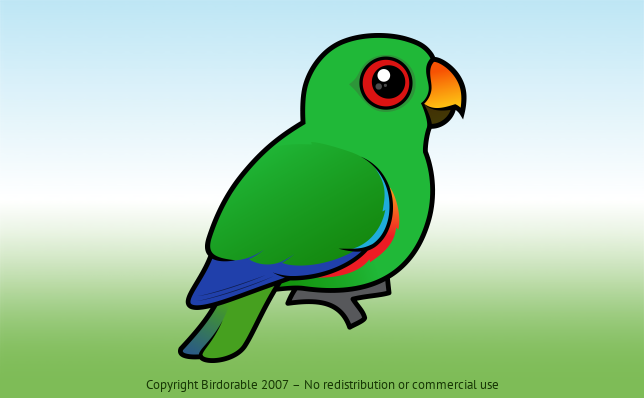 Cute Eclectus Parrot by Birdorable