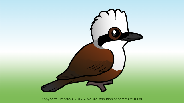 Cute White-crested Laughingthrush