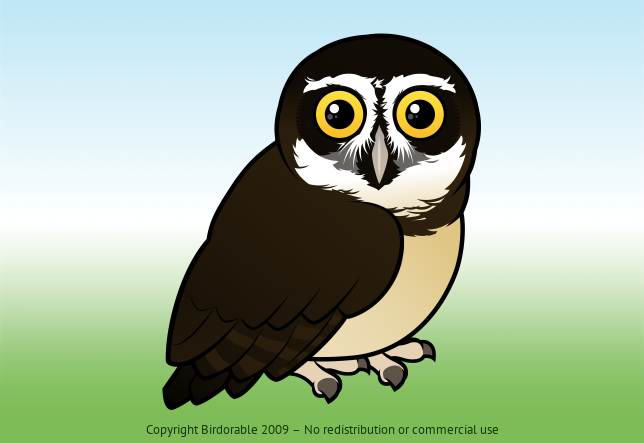 Cute Spectacled Owl by Birdorable