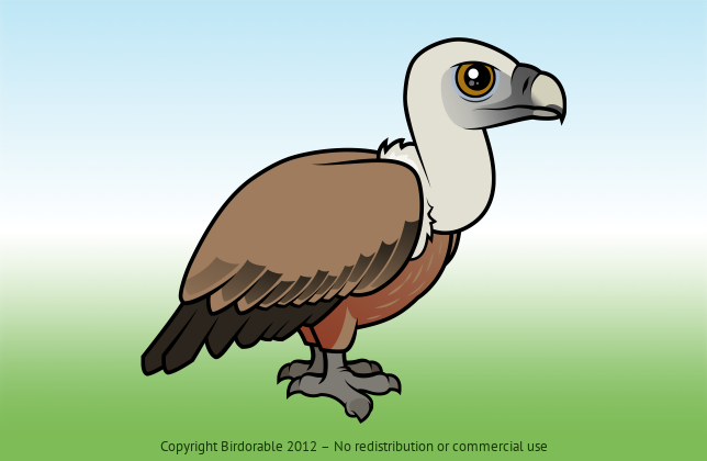 Meet the Griffon Vulture - Europe's Giant Scavenger | Birdorable