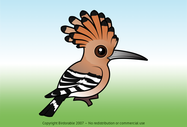 Meet the Distinctive and Colorful Hoopoe | Birdorable Birds