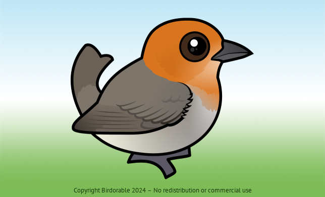 Learn About Peruvian Endemic Brown-flanked Tanager | Birdorable