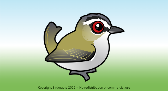 Birdorable Cute Cartoon Red-eyed Vireo | Meet the Birds