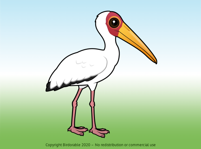 Cute Cartoon Yellow-billed Stork
