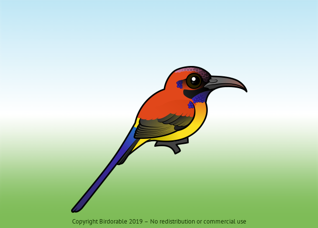 Cute Cartoon Mrs. Gould's Sunbird | Birdorable Birds