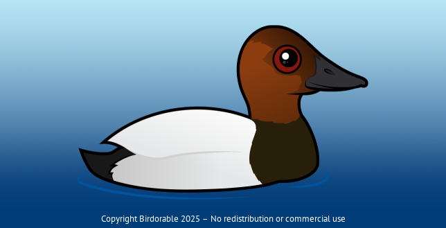 The Striking Canvasback Duck by Birdorable