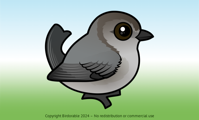 Meet the Bushtit: Tiny Acrobatic Songbird | Birdorable Bird