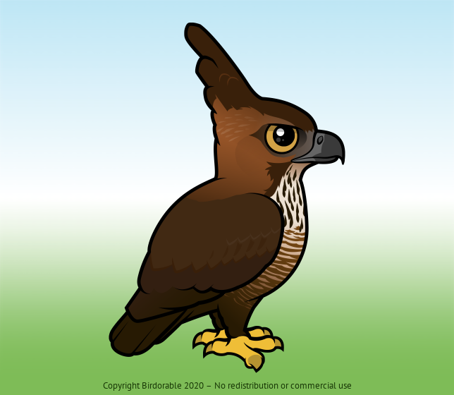 Javan Hawk-Eagle: Indonesia's National Treasure | Birdorable Birds