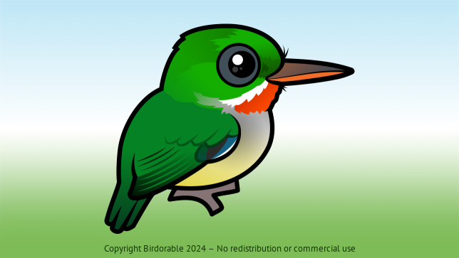 Meet the Puerto Rican Tody: Vibrant Jewel of the Forest