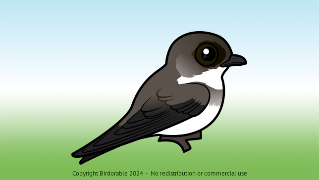 Birdorable Bank Swallow | Meet the Birds