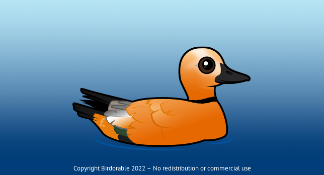 Meet the Birdorable Ruddy Shelduck Cute Cartoon Bird